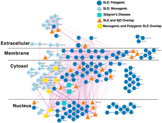 Pervasive Sharing of Causal Genetic Risk Factors Contributes to ...