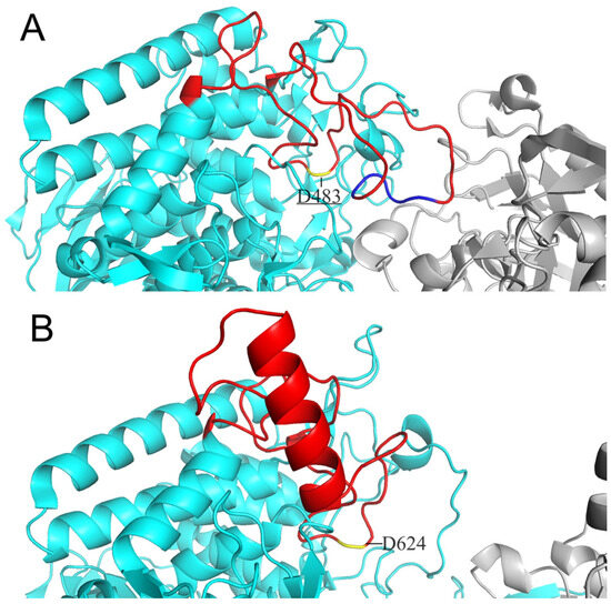 Broadening the Substrate Specificity of Cellobiose Phosphorylase from ...