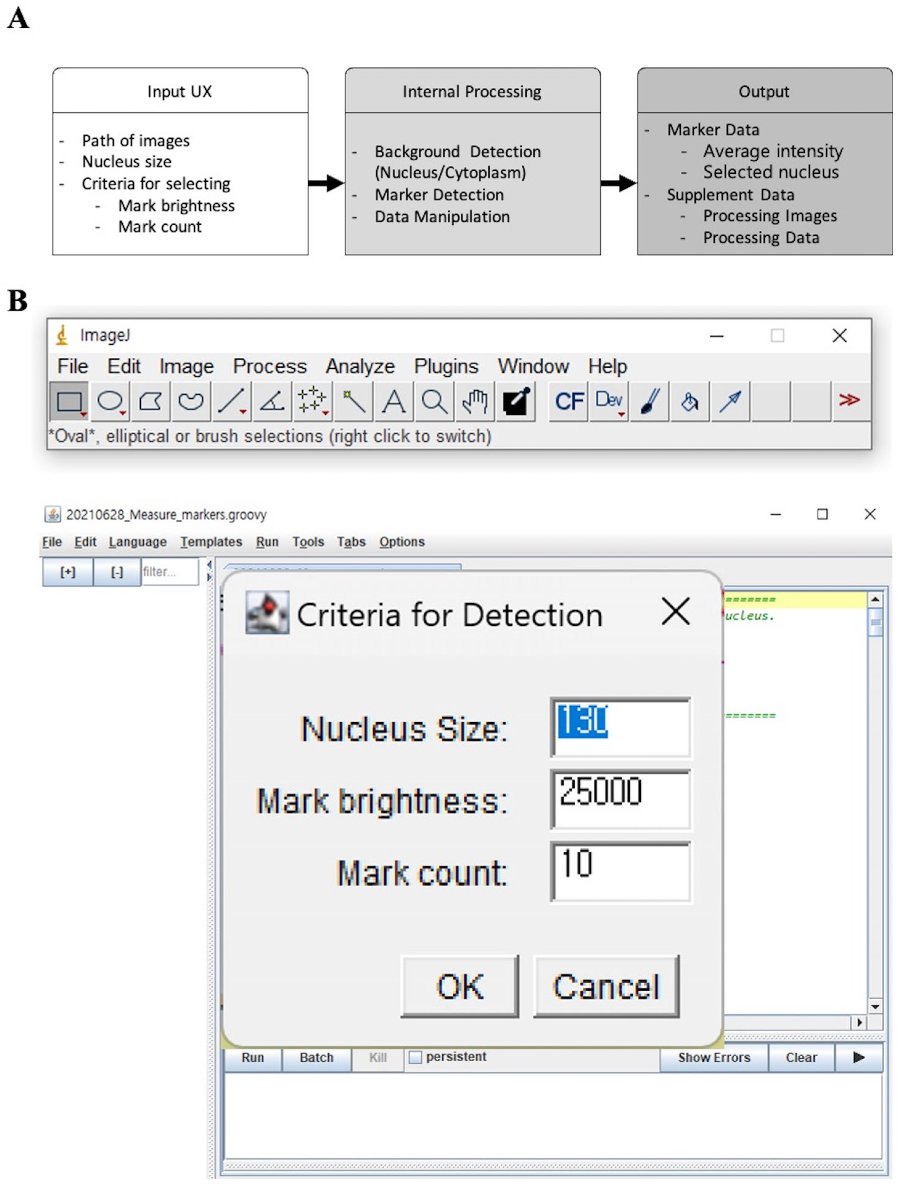 Foci-Xpress: Automated and Fast Nuclear Foci Counting Tool