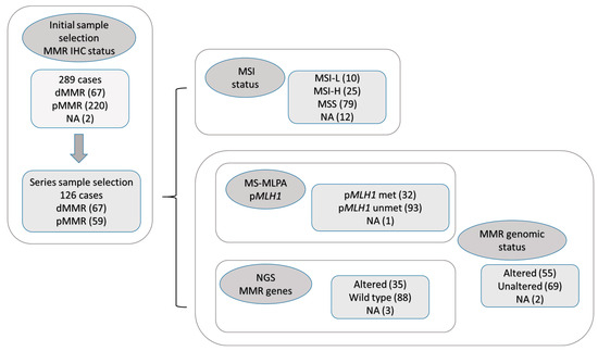 Comparison of Methods for Testing Mismatch Repair Status in Endometrial ...