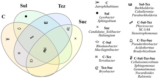 Bacteria, Fungi, and Enzymes in Soil Treated with Sulcotrione and ...