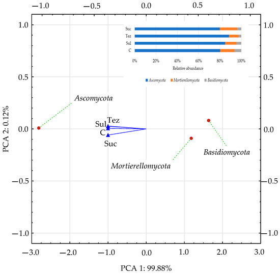 Bacteria, Fungi, and Enzymes in Soil Treated with Sulcotrione and ...