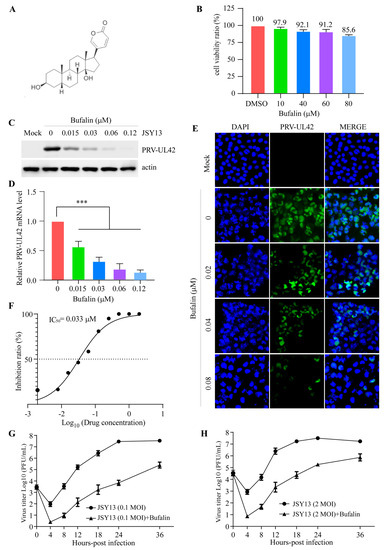 IJMS | Free Full-Text | Identification of Na+/K+-ATPase Inhibitor ...