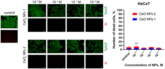 Influence of the Synthesis Scheme of Nanocrystalline Cerium Oxide and ...