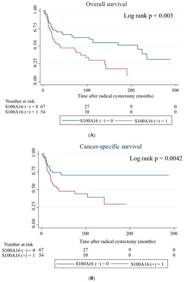 Expression of S100A16 Is Associated with Biological Aggressiveness and ...