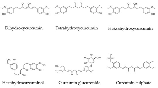 Turmeric and Curcumin—Health-Promoting Properties in Humans versus Dogs
