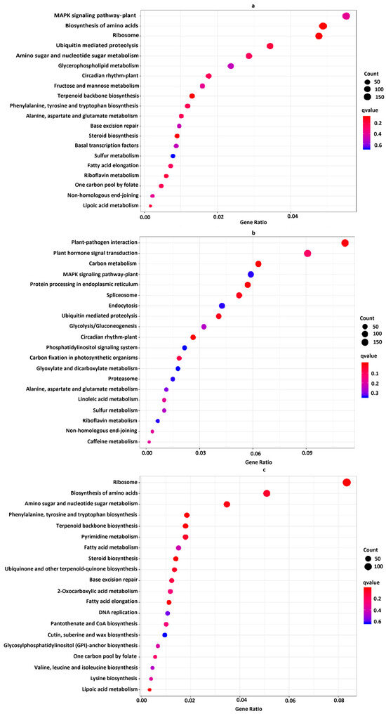 Integrated Transcriptomic and Metabolomics Analyses Reveal Molecular ...