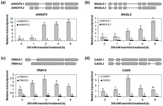 Genome-Wide Analysis of Stress-Responsive Genes and Alternative Splice Variants in Arabidopsis ...