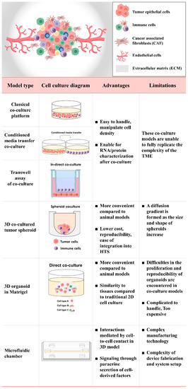 Exploring Tumor–Immune Interactions in Co-Culture Models of T Cells and Tumor Organoids Derived ...
