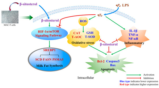 β-Sitosterol Suppresses Lipopolysaccharide-Induced Inflammation and ...