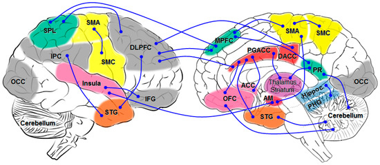 The Spectrum of Cognitive Dysfunction in Amyotrophic Lateral Sclerosis ...