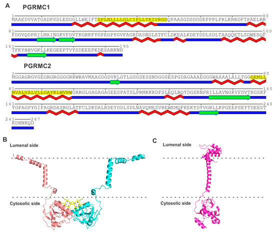 Sigma Receptors: Novel Regulators of Iron/Heme Homeostasis and Ferroptosis