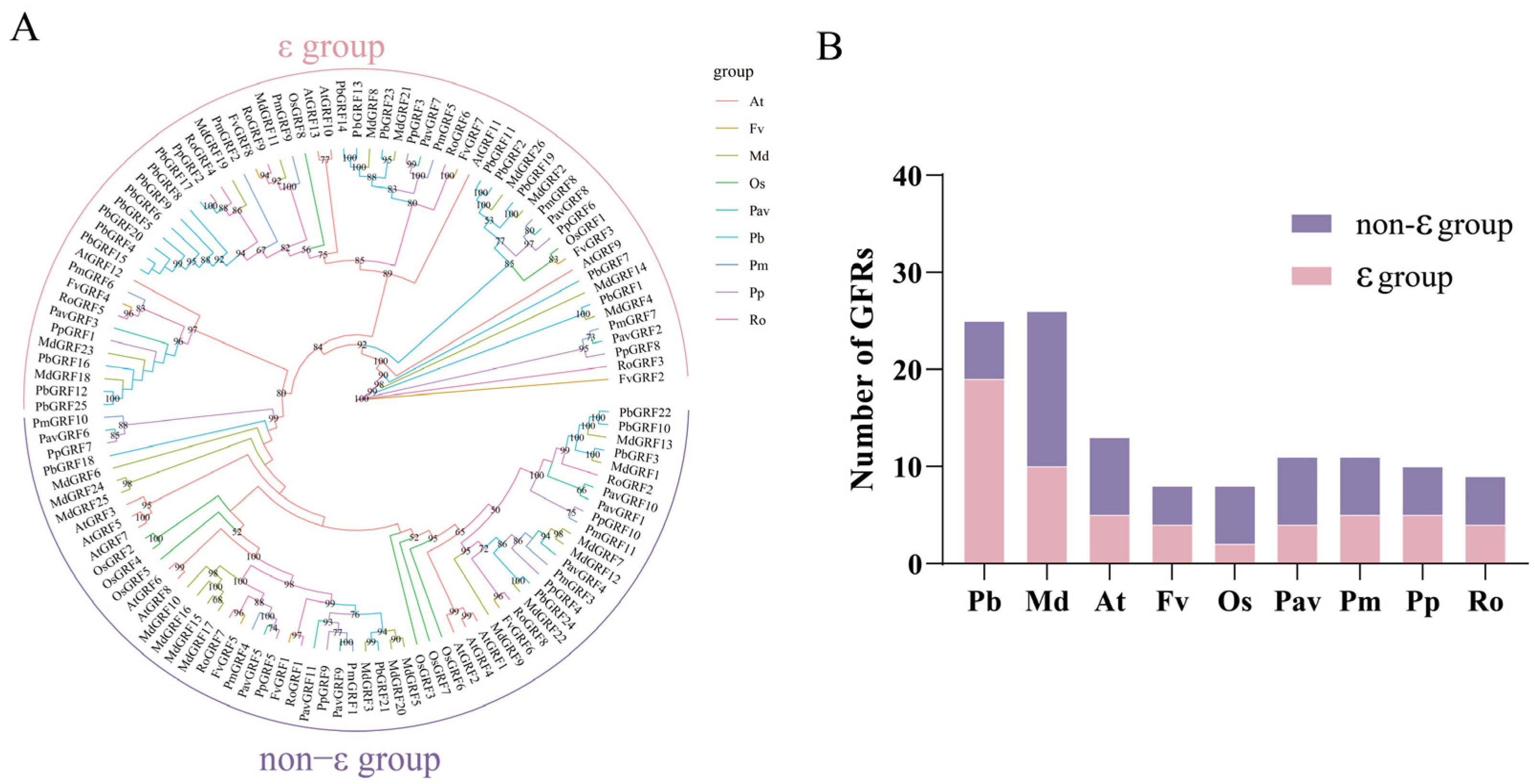 Genome-Wide Identification and Evolution of the GRF Gene Family and Functional Characterization ...