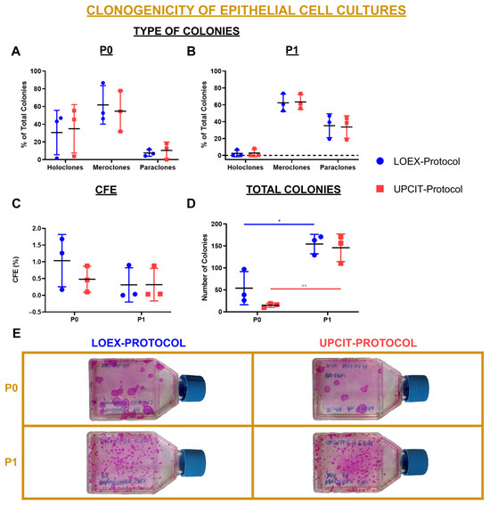Comparison of Two Human Skin Cell Isolation Protocols and Their ...