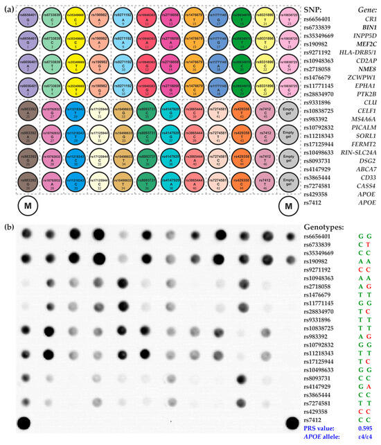 Evaluation of the Polygenic Risk Score for Alzheimer’s Disease in ...