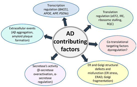 Amyloid Precursor Protein and Alzheimer’s Disease