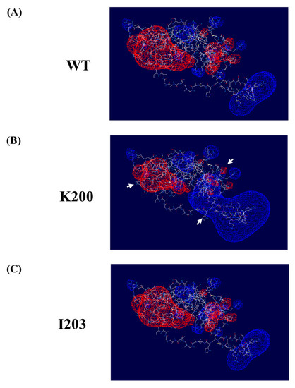 Elevated E200K Somatic Mutation of the Prion Protein Gene (PRNP) in the ...