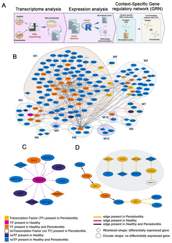 Transcriptional Signatures and Network-Based Approaches Identified Master Regulators ...