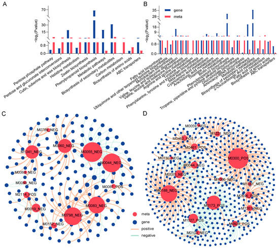 Integrated Analysis of Metabolome and Transcriptome Reveals Insights ...