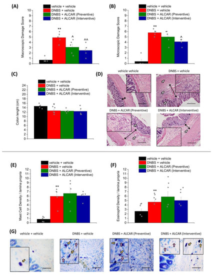 Anti-Hyperalgesic Efficacy of Acetyl L-Carnitine (ALCAR) Against ...