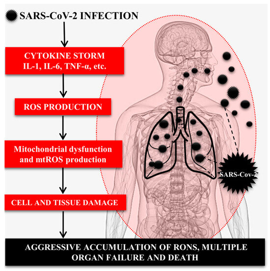 COVID-19 Complications: Oxidative Stress, Inflammation, and ...