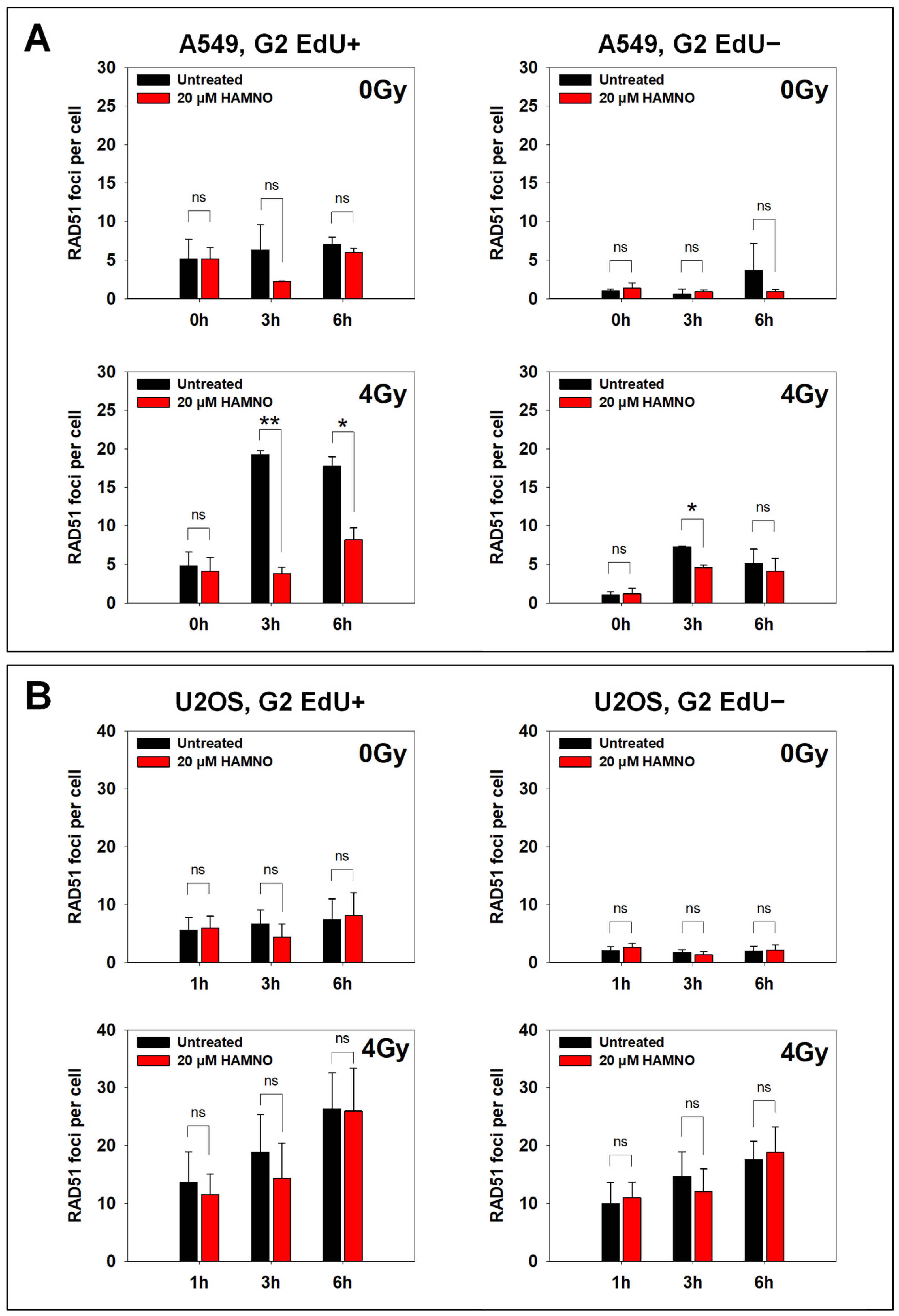 IJMS | Free Full-Text | Chemical Inhibition of RPA by HAMNO Alters Cell ...