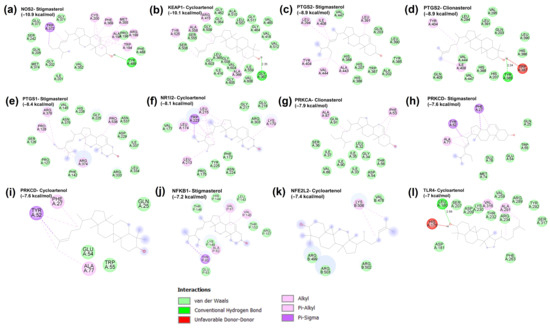Anti-Inflammatory and Antioxidant Activities of Lipophilic Fraction ...