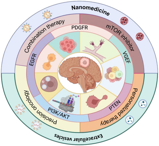 Unveiling Novel Avenues in mTOR-Targeted Therapeutics: Advancements in ...