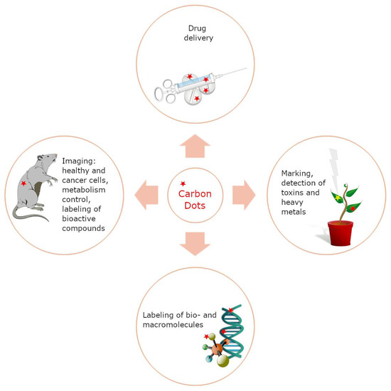 IJMS | Free Full-Text | Carbon Dots—Types, Obtaining and Application in ...