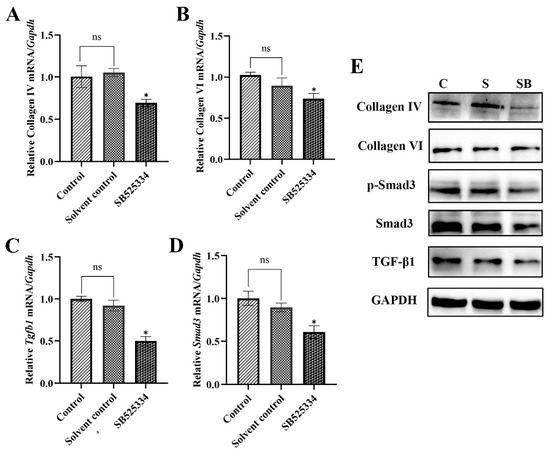 Trichinella spiralis-Secreted Products Promote Collagen Capsule ...