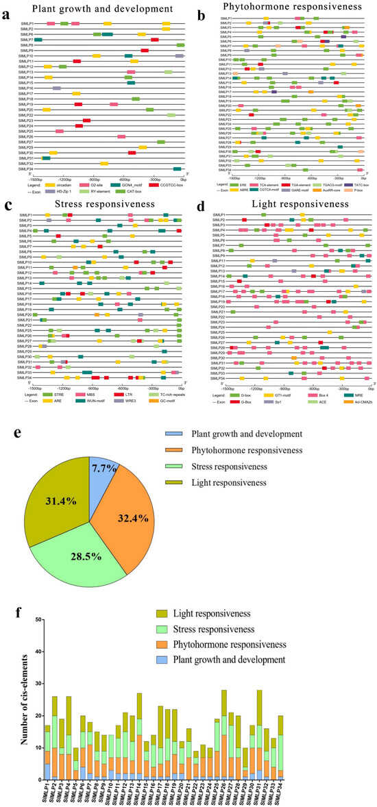Genome-Wide Evolutionary Characterization and Expression Analysis of ...