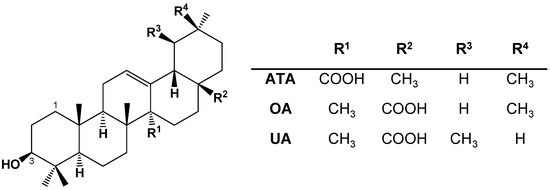 3β-Hydroxy-12-oleanen-27-oic Acid Exerts an Antiproliferative Effect on ...