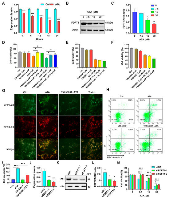 3β-Hydroxy-12-oleanen-27-oic Acid Exerts an Antiproliferative Effect on ...