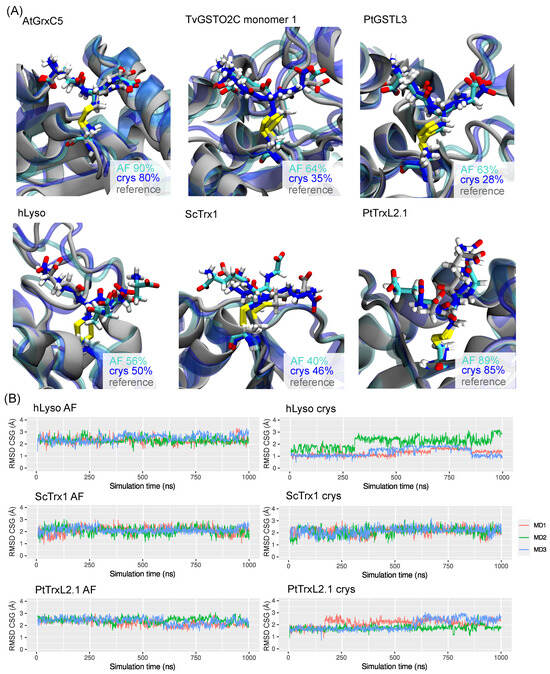 Robust AMBER Force Field Parameters for Glutathionylated Cysteines