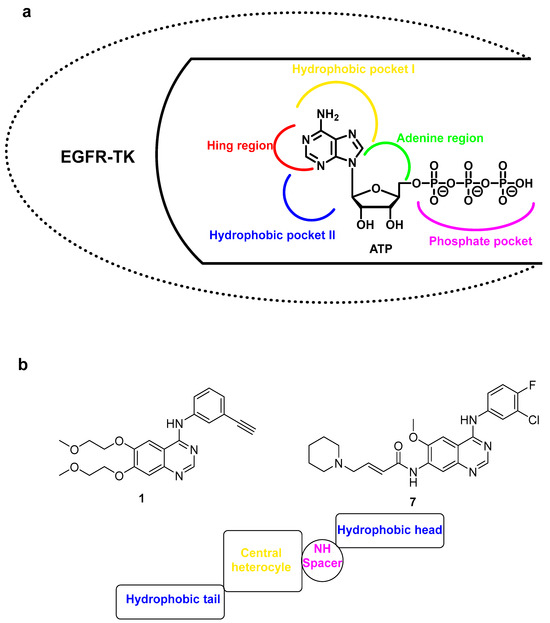 Development of Novel Class of Phenylpyrazolo[3,4-d]pyrimidine-Based ...