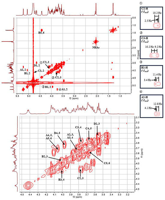 Structural and Genetic Identification of the O-Antigen from an ...
