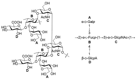 Structural and Genetic Identification of the O-Antigen from an ...