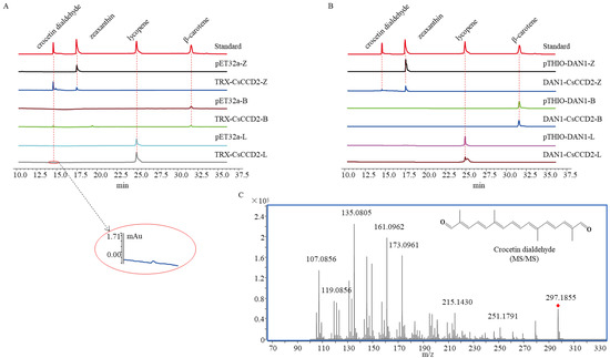 IJMS | Free Full-Text | The Functional Characteristics and Soluble ...