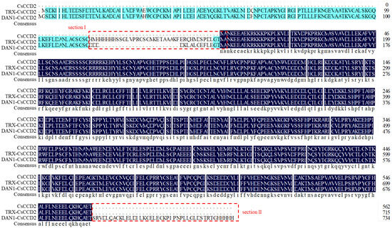 IJMS | Free Full-Text | The Functional Characteristics and Soluble ...