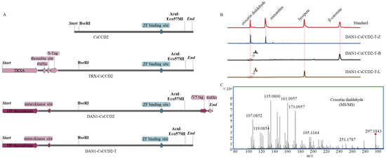 IJMS | Free Full-Text | The Functional Characteristics and Soluble ...
