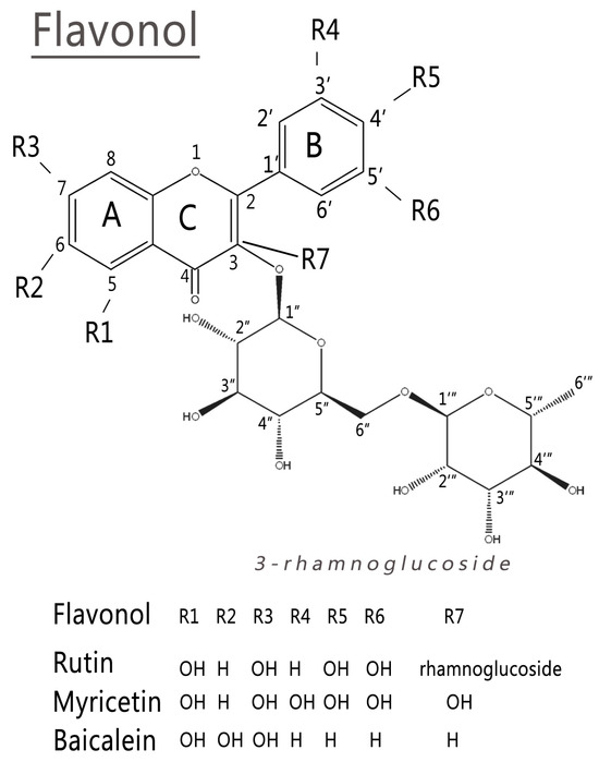 Docking and Electronic Structure of Rutin, Myricetin, and Baicalein ...