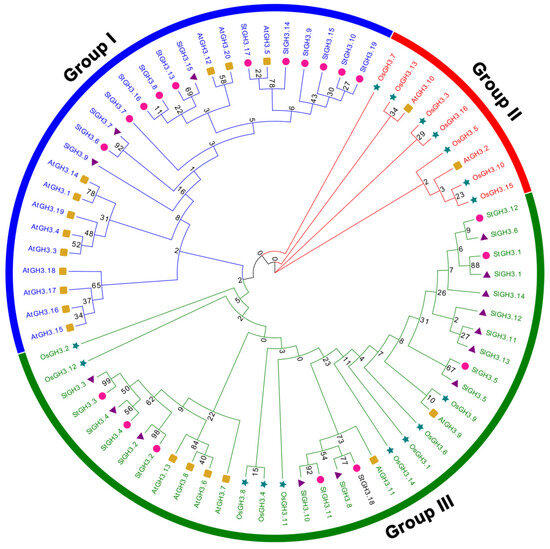 Comprehensive Analysis of GH3 Gene Family in Potato and Functional ...