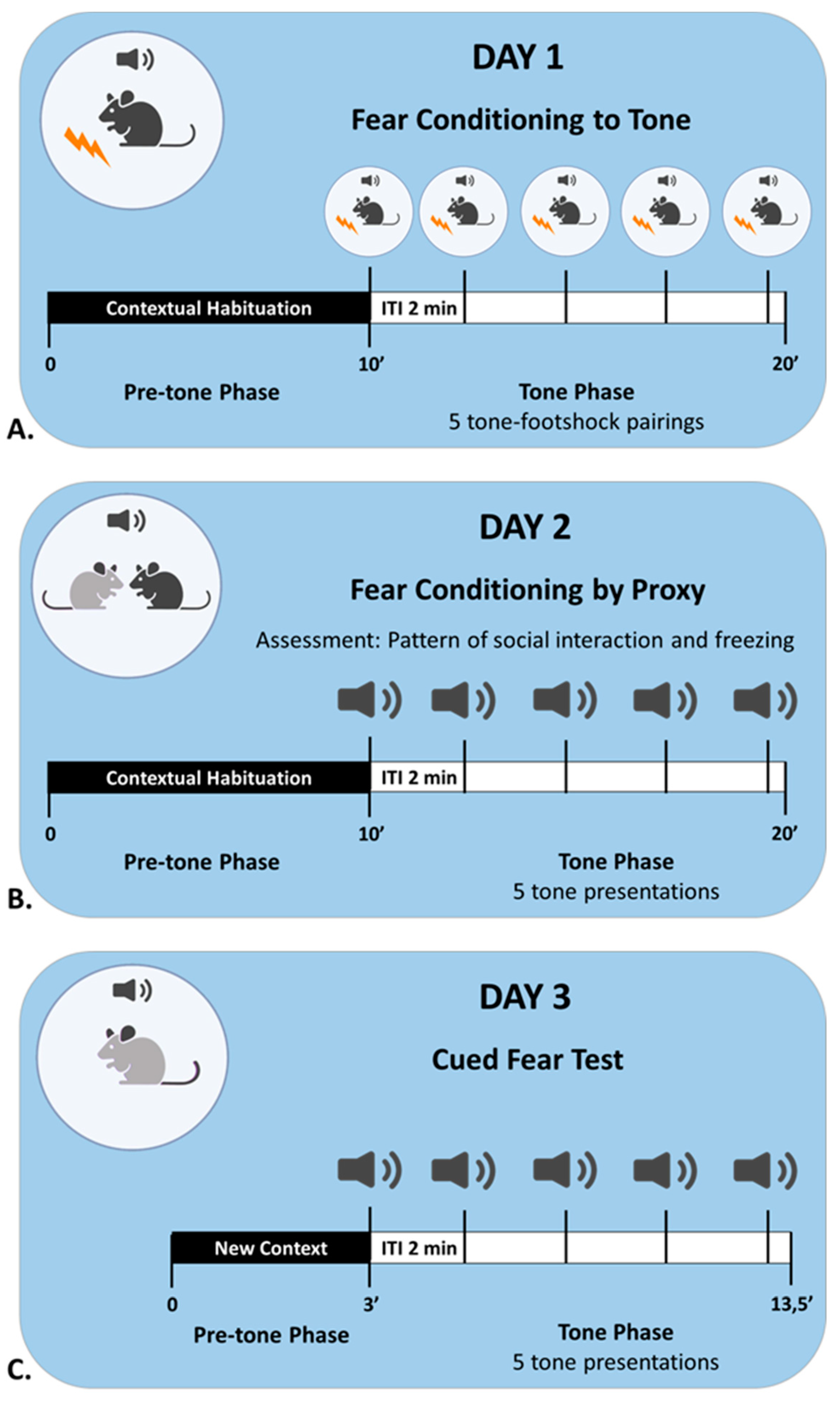 IJMS | Free Full-Text | Fear Conditioning by Proxy: The Role of High ...