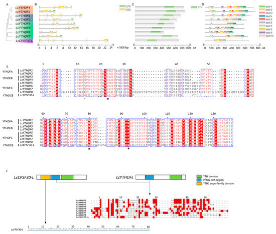 Genome-Wide Identification and Characterization of the YTH Domain ...