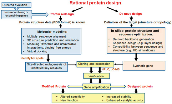 Engineering and Expression Strategies for Optimization of L-Asparaginase Development and Production