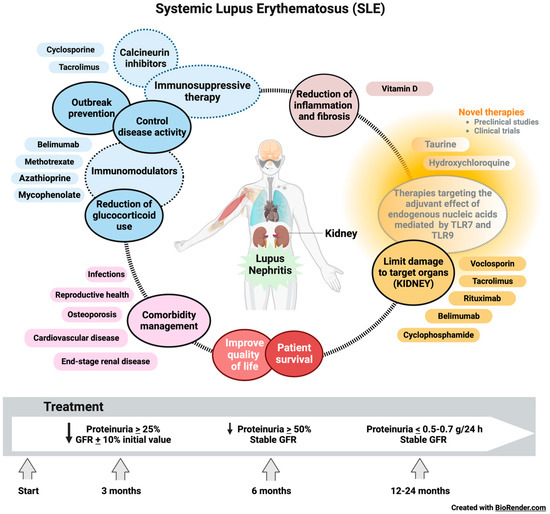 IJMS | Free Full-Text | The Role of the Oxidative State and Innate ...