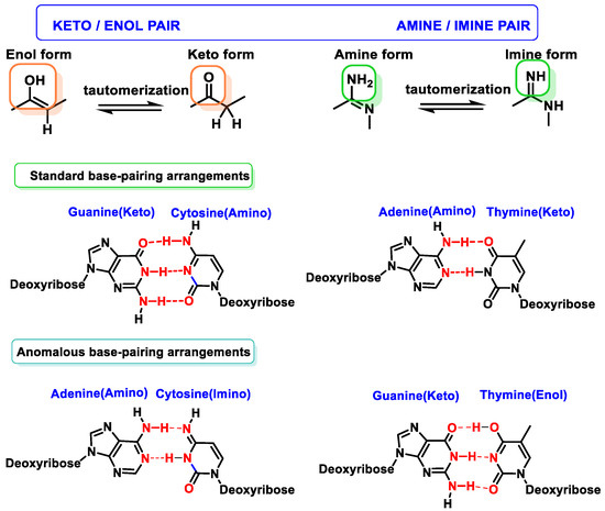 Chemical Insights into Oxidative and Nitrative Modifications of DNA