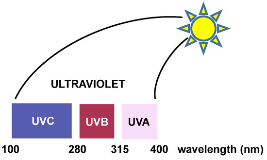 Chemical Insights into Oxidative and Nitrative Modifications of DNA