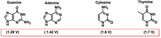 Chemical Insights into Oxidative and Nitrative Modifications of DNA