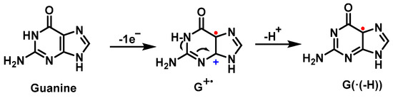 Chemical Insights into Oxidative and Nitrative Modifications of DNA